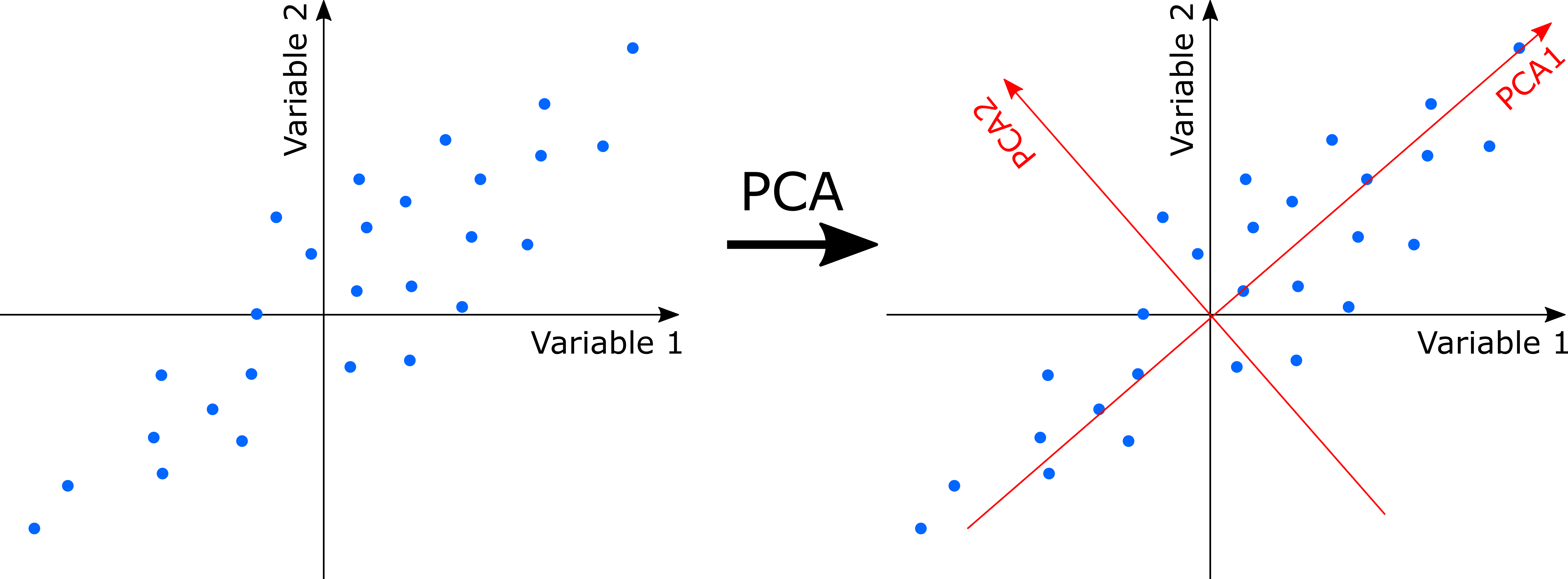 Define Component Analysis